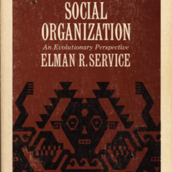 Primitive social organization: an evolutionary perspective (Studies in ...