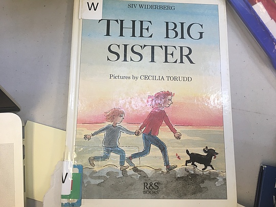 The Big Sister by Siv Widerberg