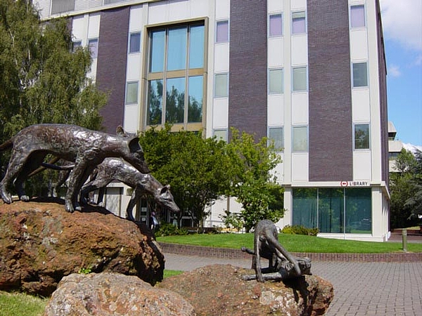 Launceston Library in Launceston, Tasmania | LibraryThing
