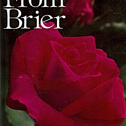 Rose from Brier by Amy Carmichael | LibraryThing