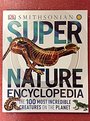 DK Super Encyclopedia | Series | LibraryThing