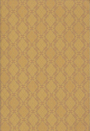 Escape from Shadow Physics. The Quest to End the Dark Ages of Quantum ...