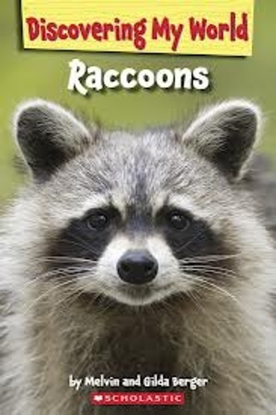 Raccoons (Discovering My World) by Melvin Berger | LibraryThing