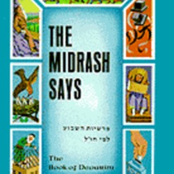 The Midrash Says The Book of Devarim by Moshe Weissman | LibraryThing