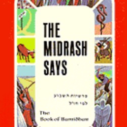 The Midrash Says: The Book of Bamidbar by Rabbi Moshe Weissman ...